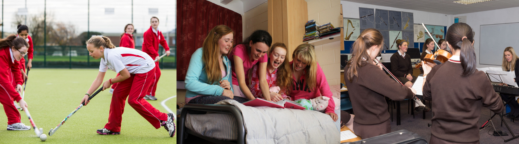 Alexandra College Dublin - Cálamus - Escola d'Idiomes